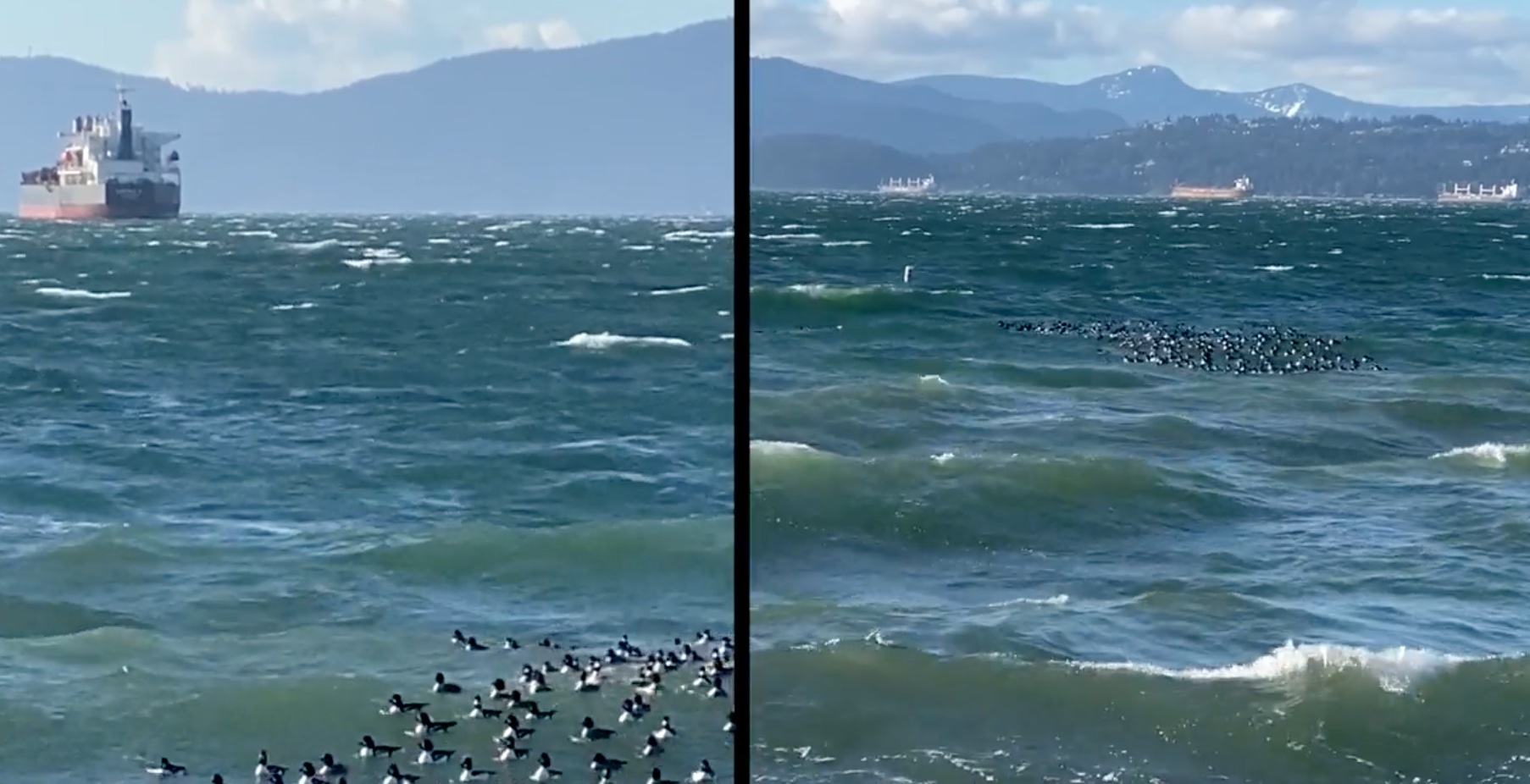 Coastal Methodologies: Audio-Visual Workbooking in Ayasha Guerin's ...